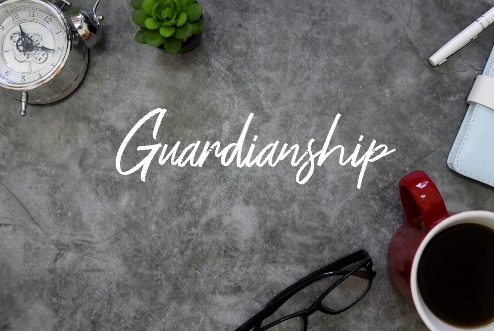 New York Guardianship Appointment Requires Clear and Convincing ...